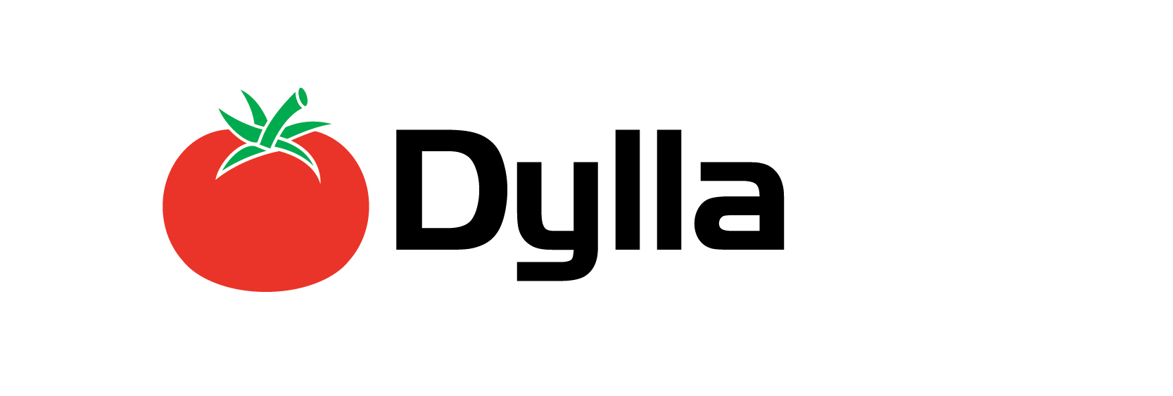 Dylla - Variety Tomatoes | Syngenta