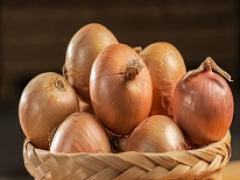 Yellow Star - Variety Onions | Syngenta