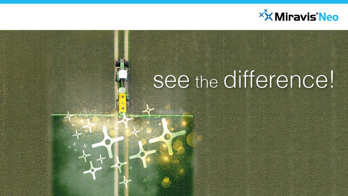 Welcome to Syngenta | Syngenta