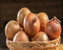 Yellow Star - Variety Onions | Syngenta