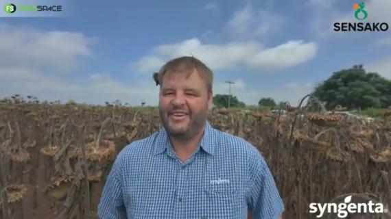 Syngenta Seeds | Syngenta