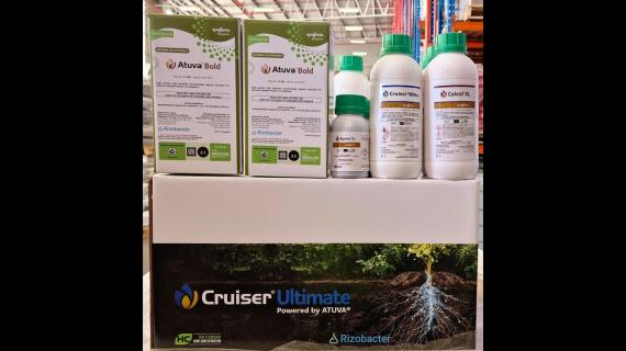 Welcome to Syngenta | Syngenta
