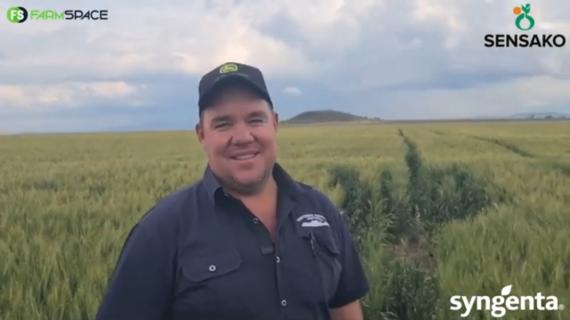 Syngenta Seeds | Syngenta