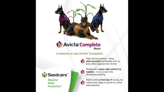 Welcome to Syngenta | Syngenta